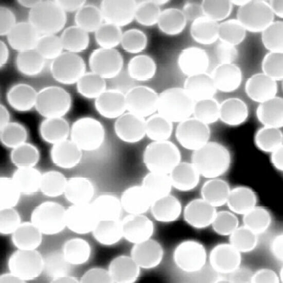 Fluostar Fluorescent Particles | Kanomax USA